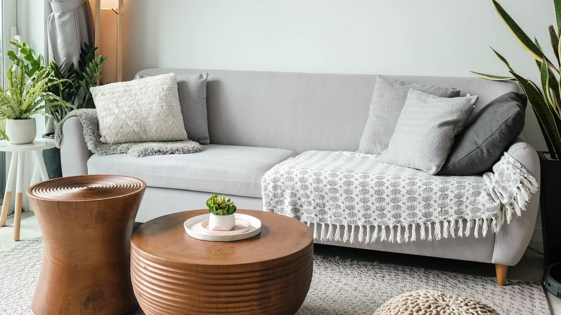 All Couches – Couchy Store